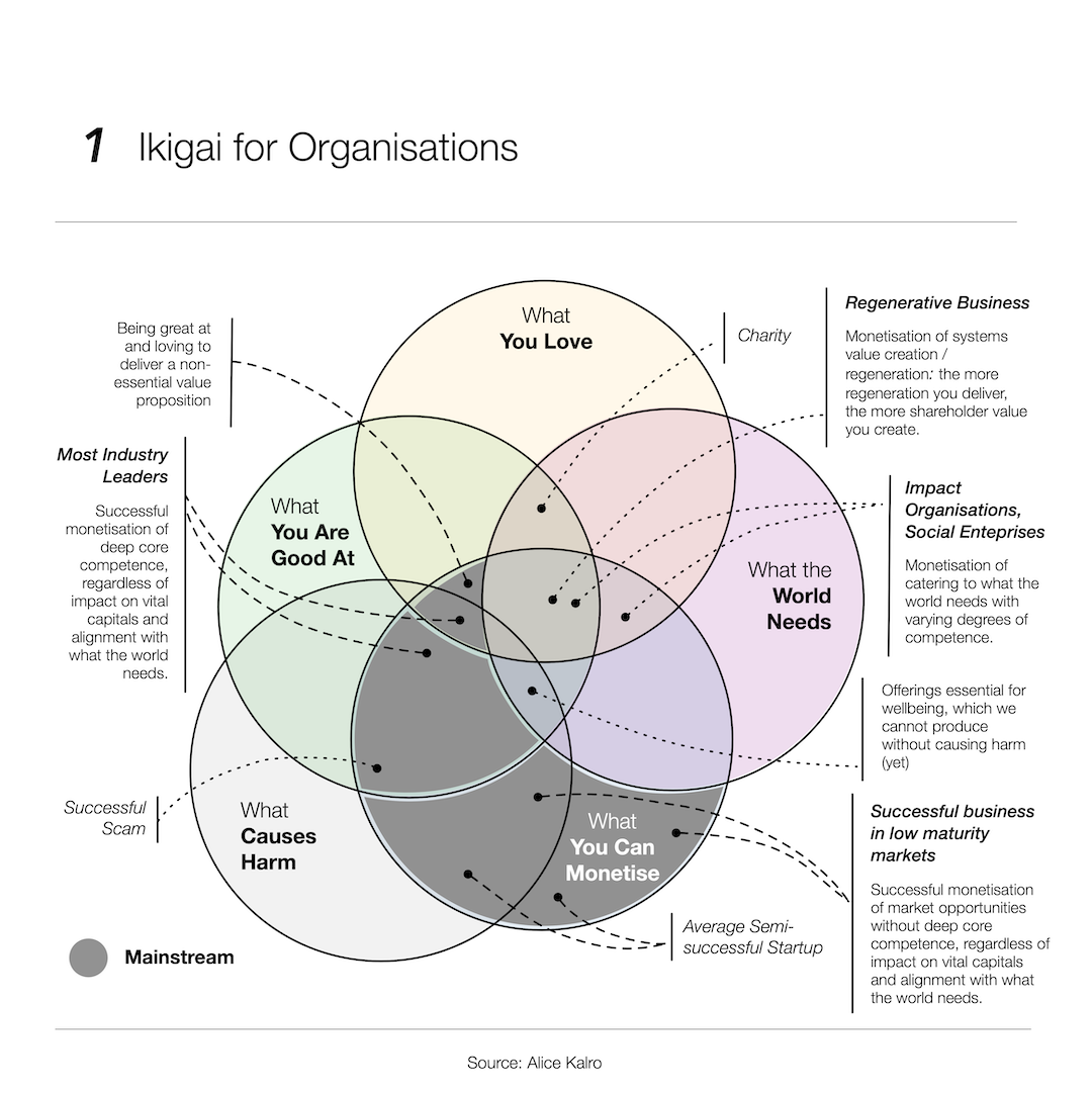 Planetary Ikigai - Organisational Gap Assessment Tool — arkH3
