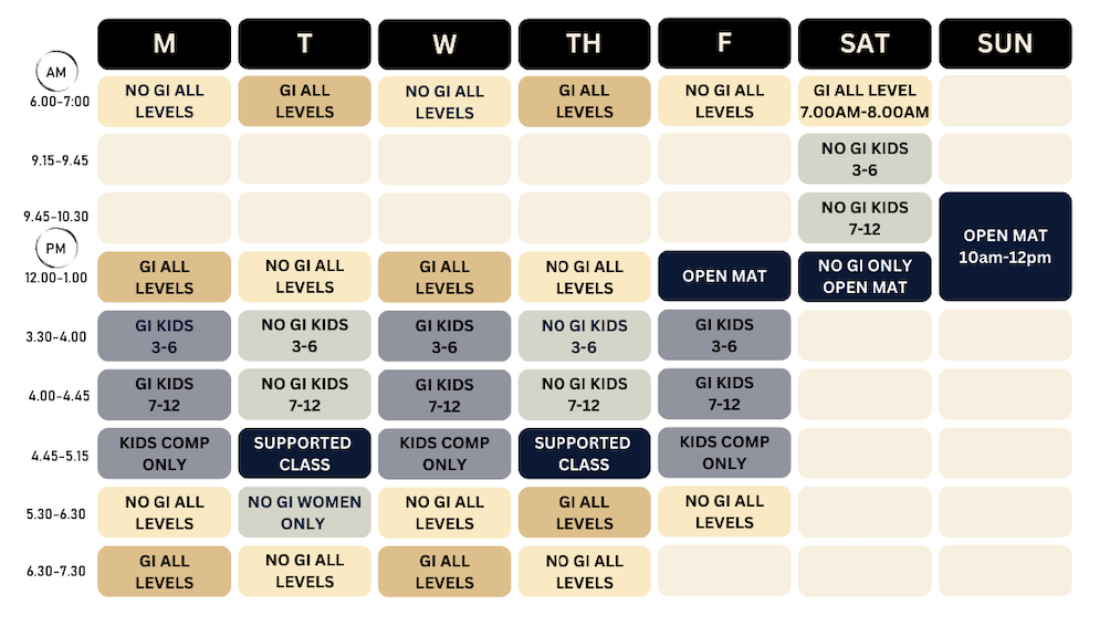 Brazilian Jiu Jitsu — Rolling Fitness