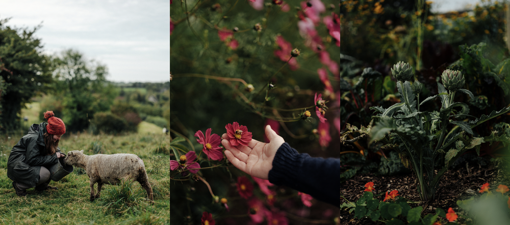 Vallis Farm