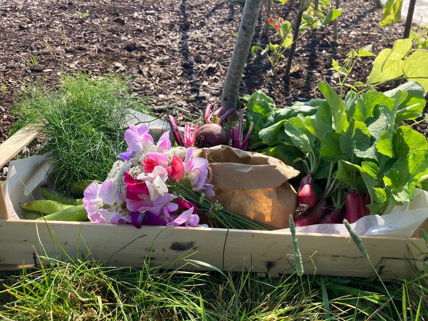 Vallis Farm