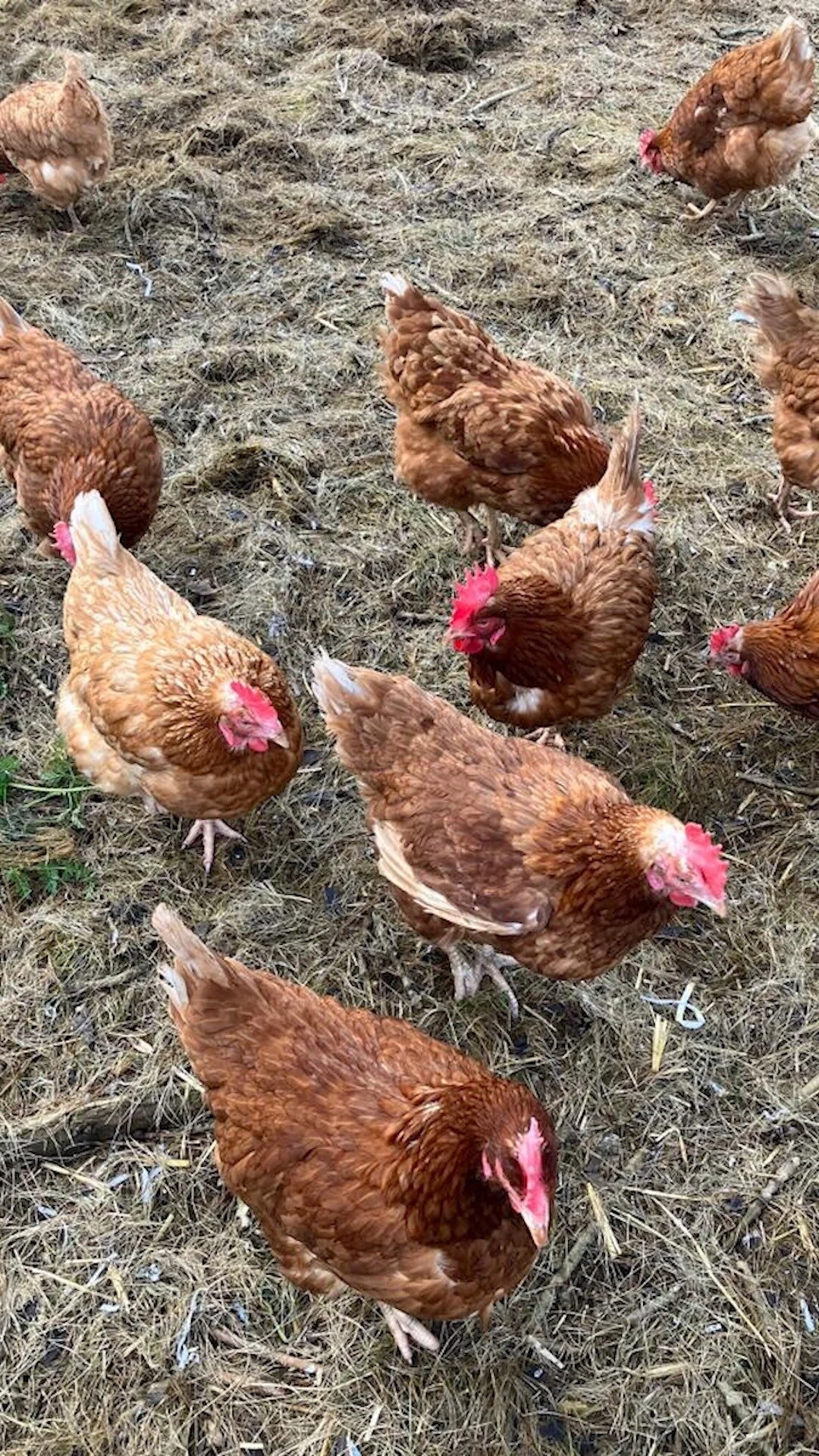 Contact — Vallis Farm