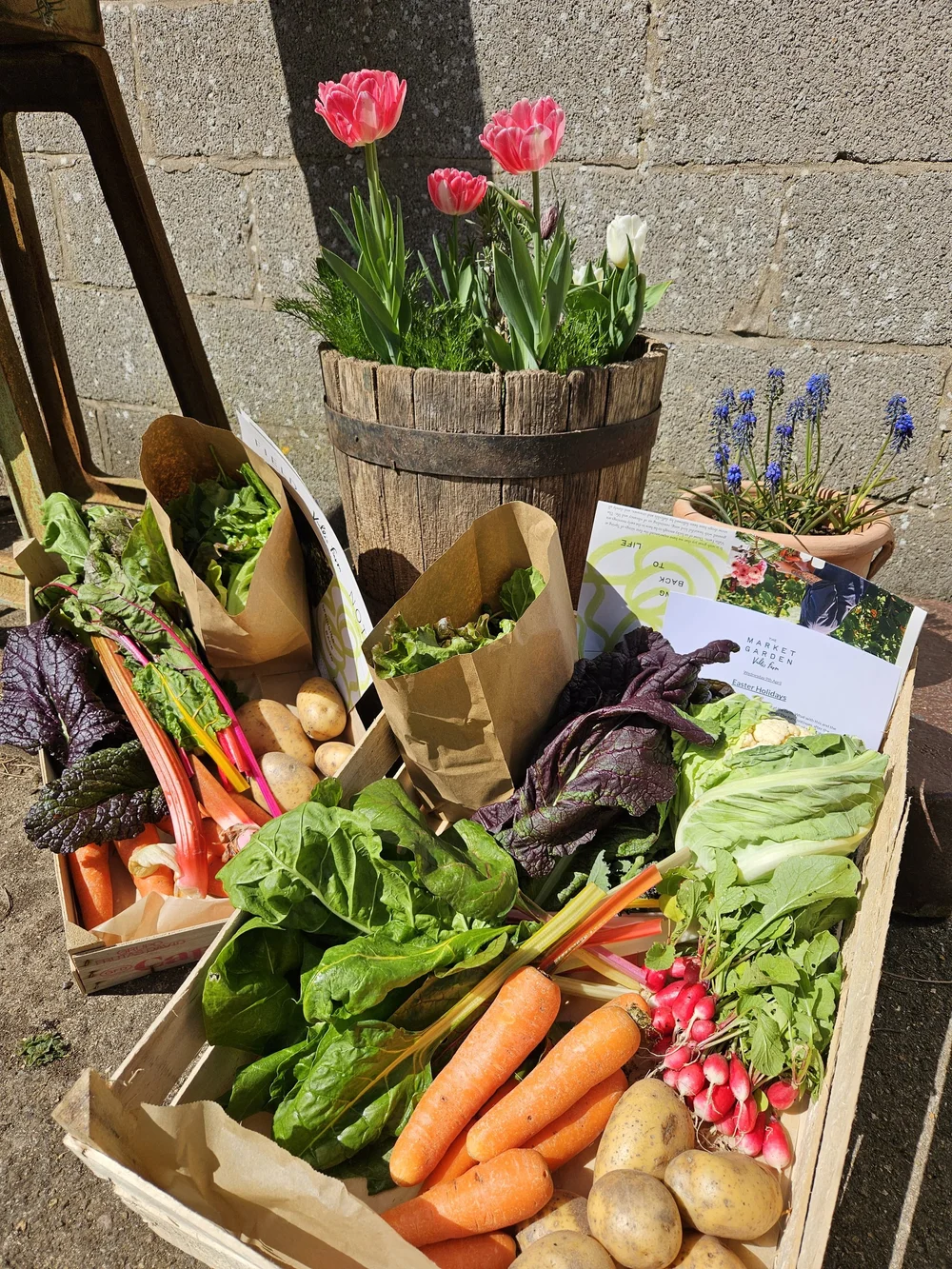 Vallis Farm | Join Our Community Today