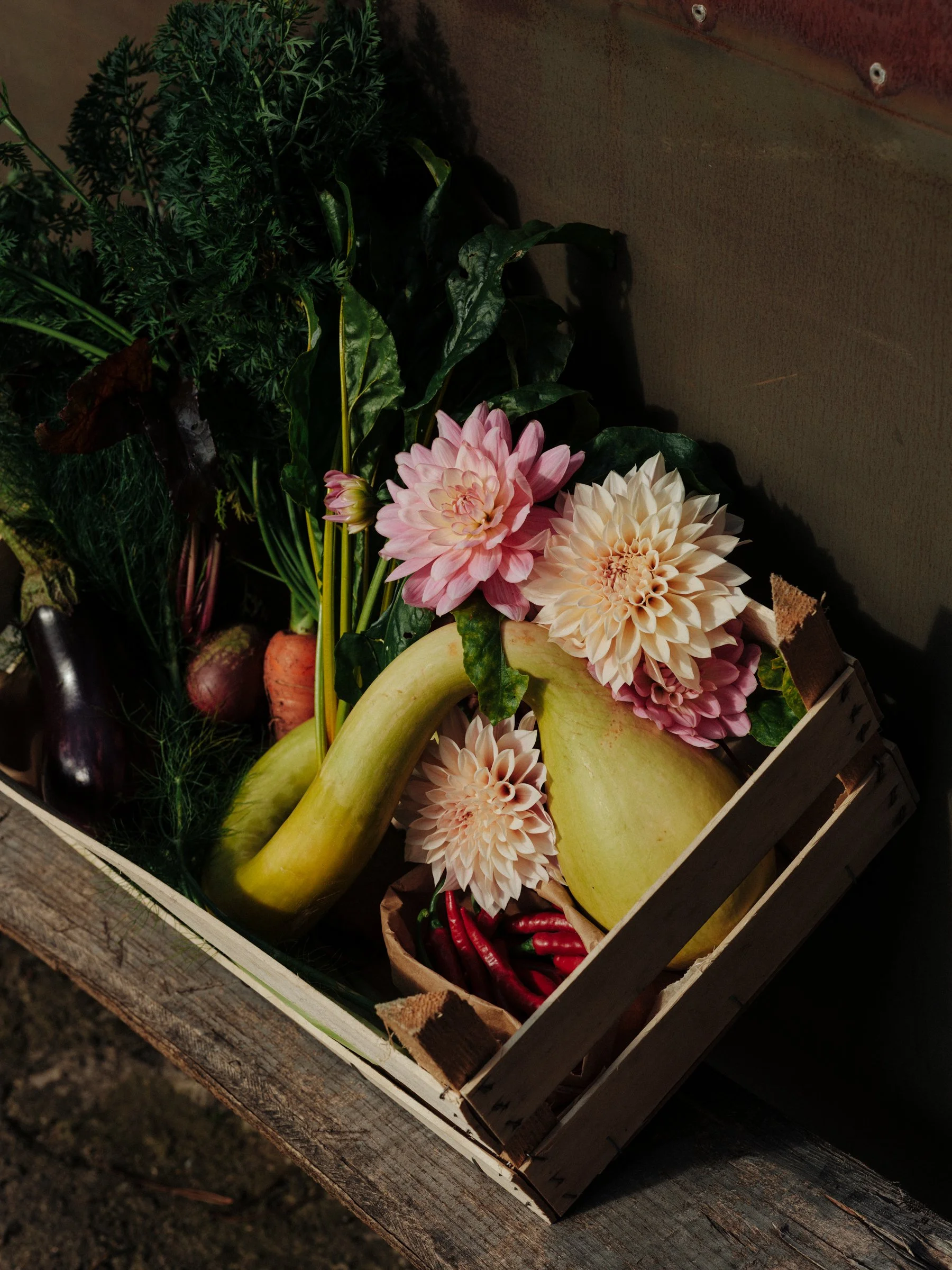 The Market Garden — Vallis Farm