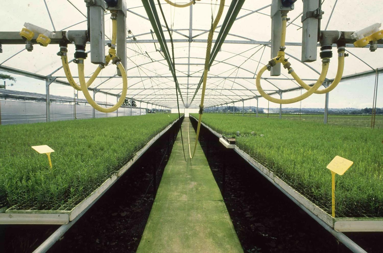 PRODUCTION — ATTIA | Australian Tea Tree Industry Association