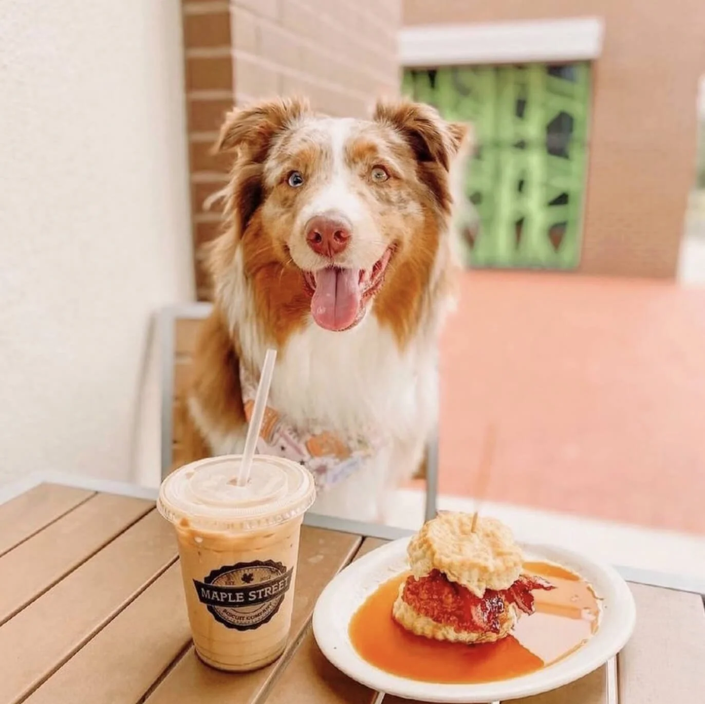 Careers — Maple Street Biscuit Company