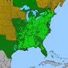 Delaware Native Trees — The Naked Oak Tree Farm