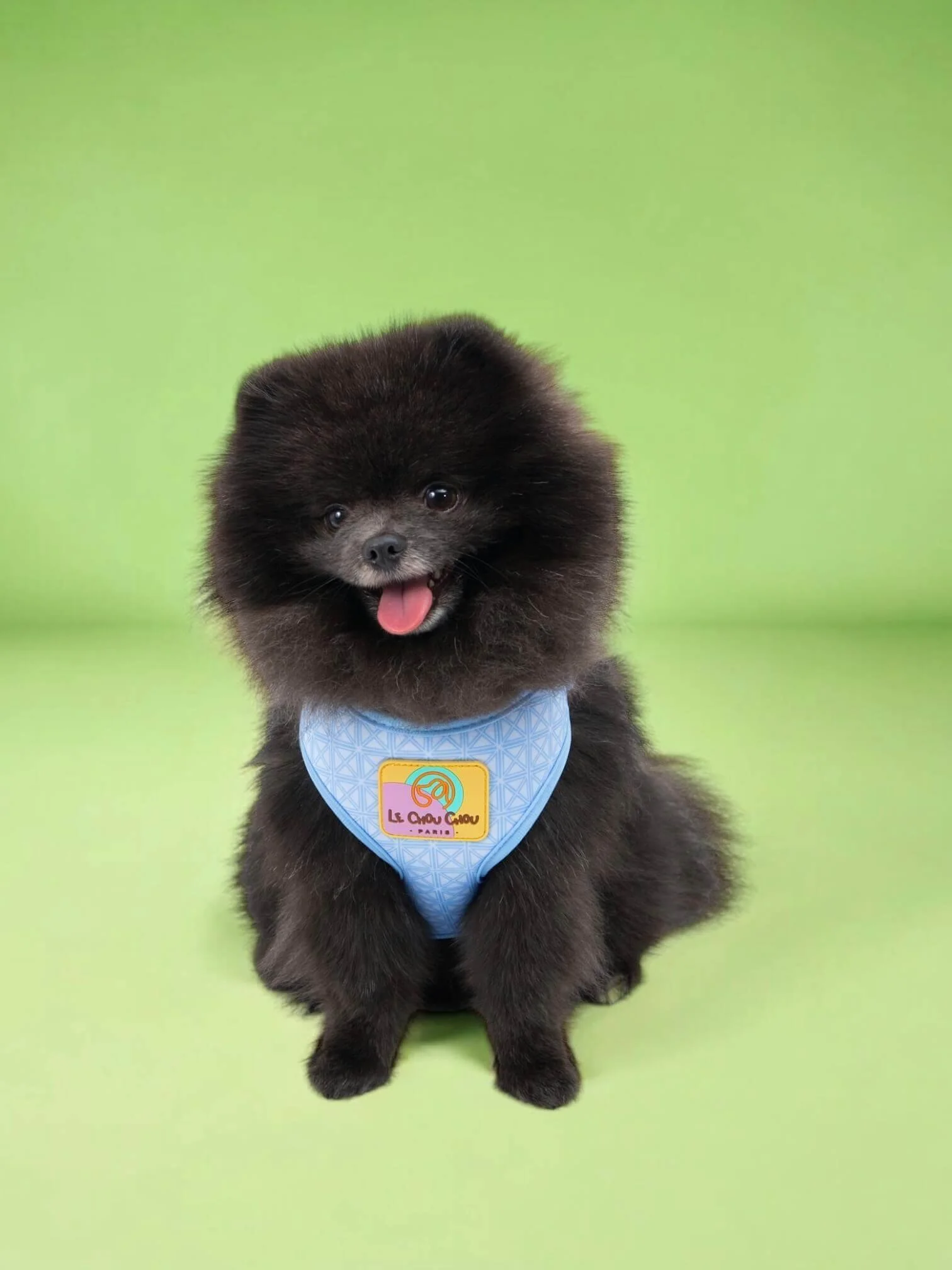 Le ChouChou Paris | Luxury Dog Accessories Brand