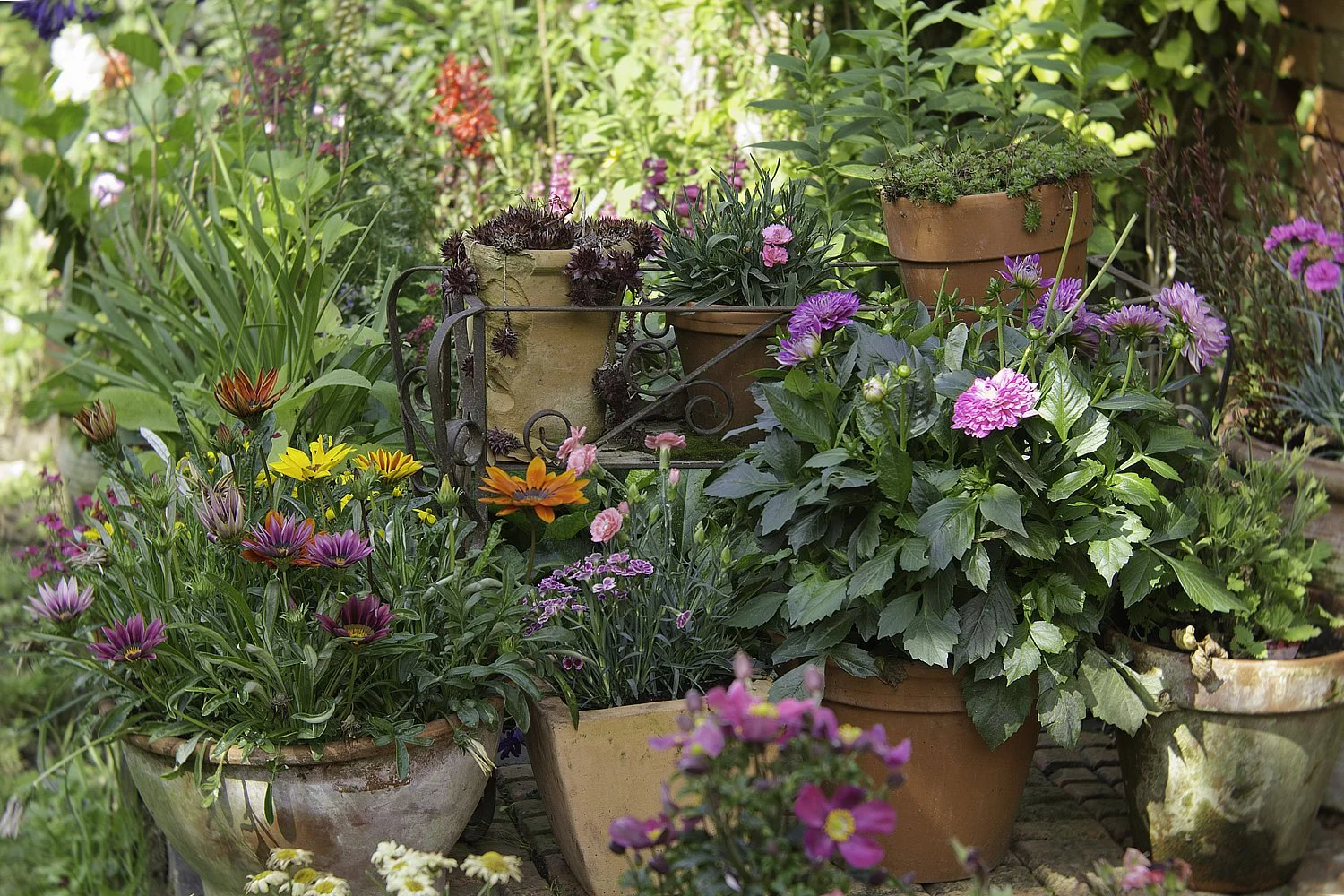 Inspiration — Katherine Barney