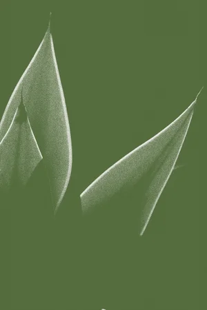 Vecino | Modern Mexican Cuisine in Midtown Detroit