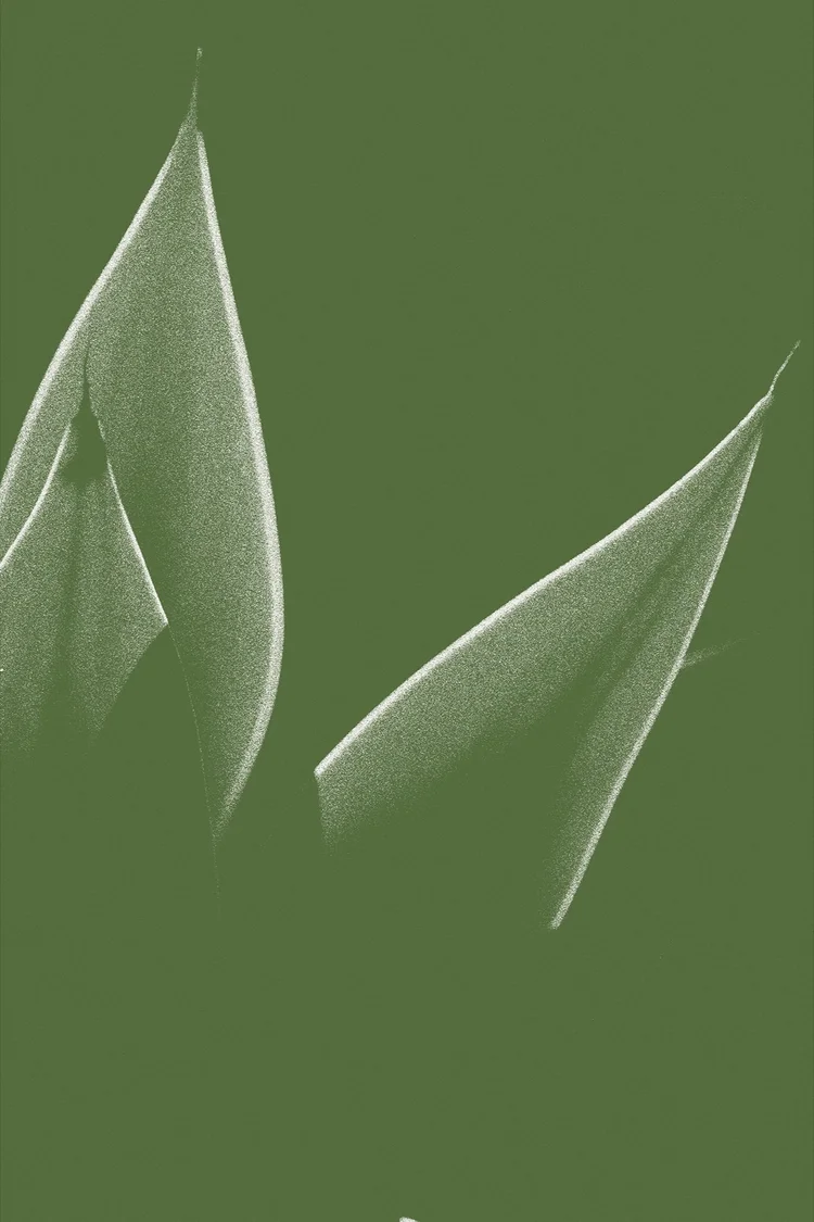 Vecino | Modern Mexican Cuisine in Midtown Detroit