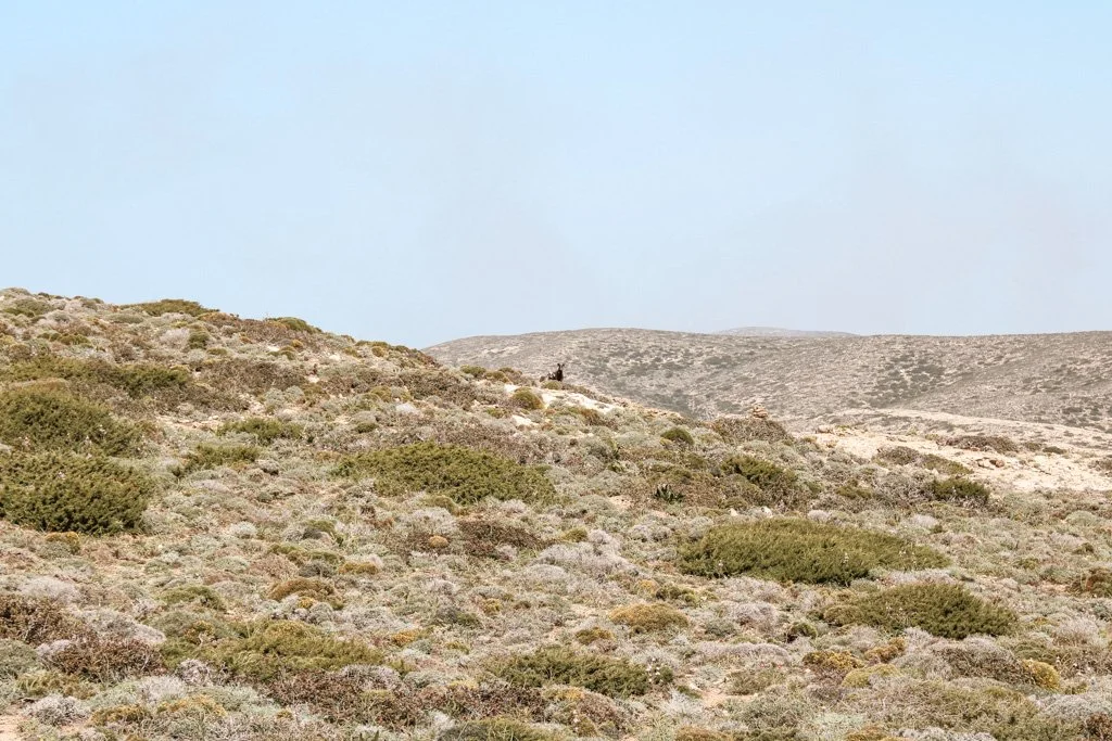 Prasonisi Rhodos - Tipps & Highlights — GreekIslandHopping