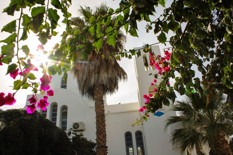 Naoussa auf Paros ♥ Geheimtipps & Highlights ♥ — GreekIslandHopping