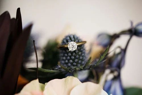 Lily & Casey’s intimate home wedding — Orlando Wedding Photographer ...