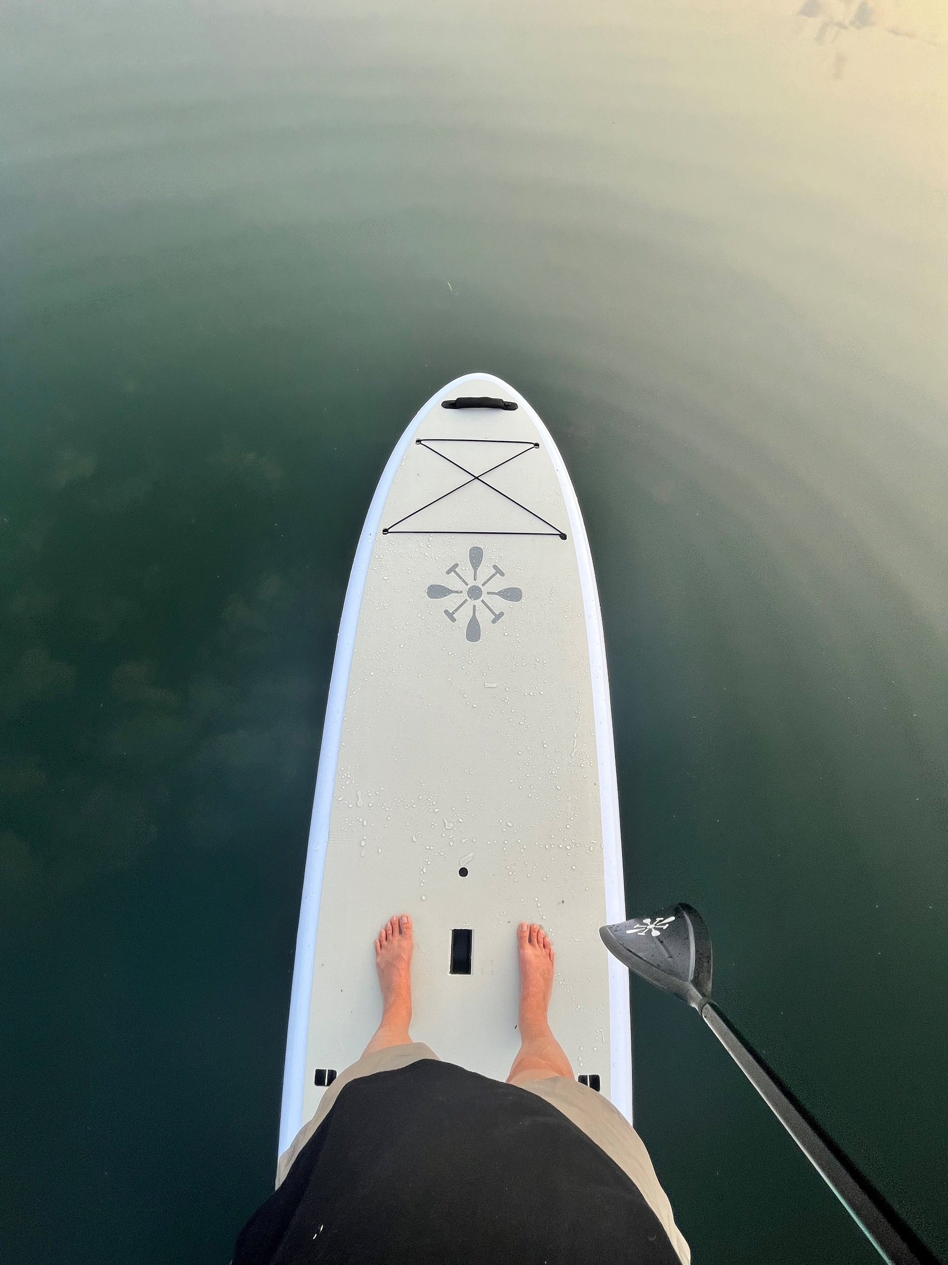 Paddle board rentals