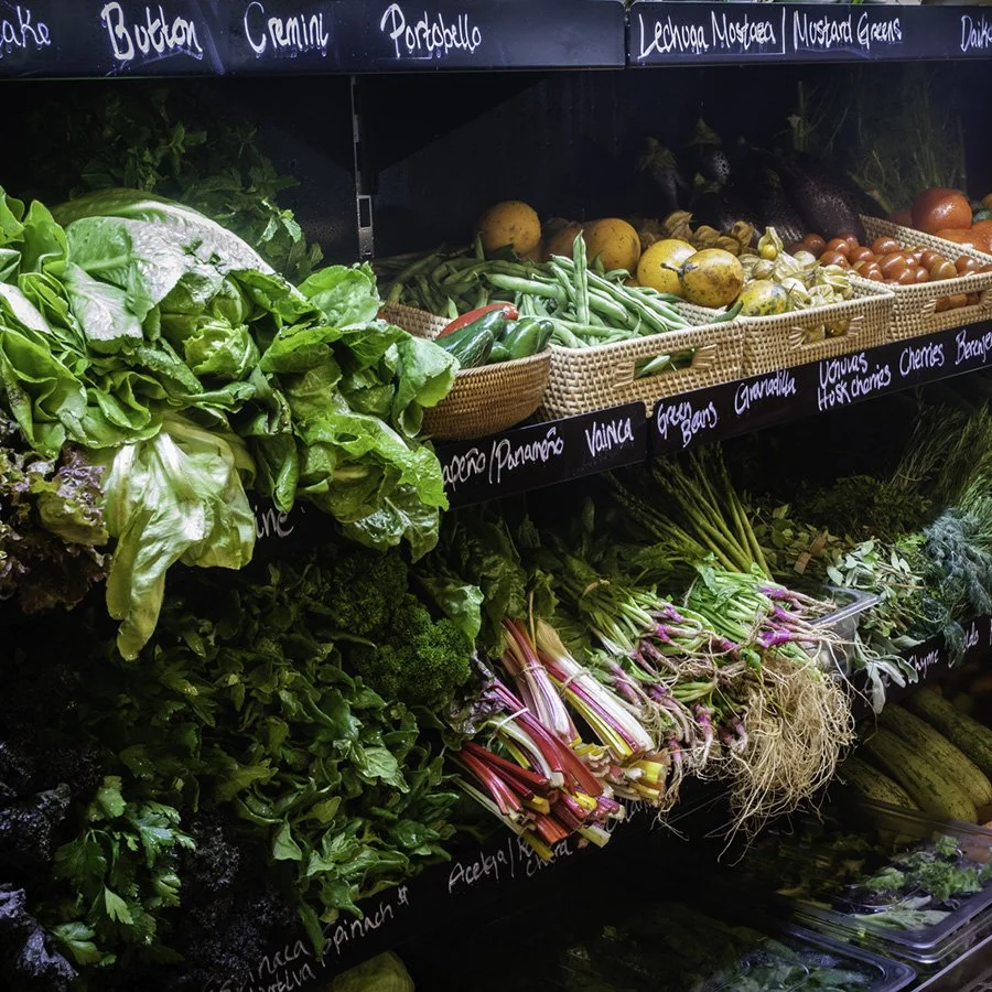 Businesses — Harmony Projects