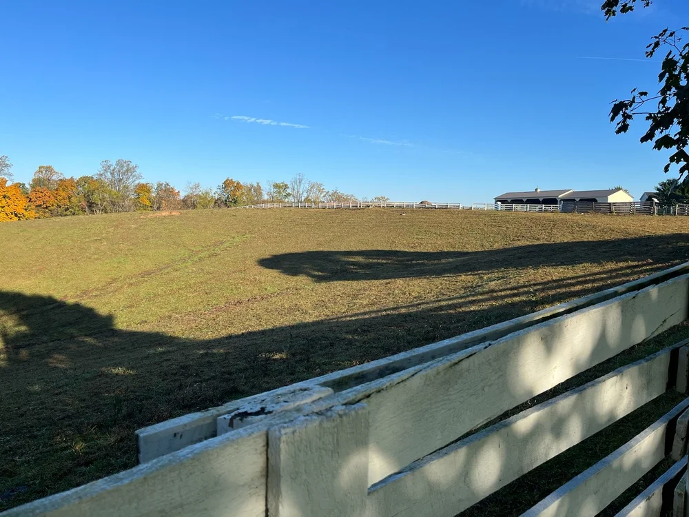 Our Beef — Farm Raised, All-Natural, Locally Grown Angus/Wagyu Beef