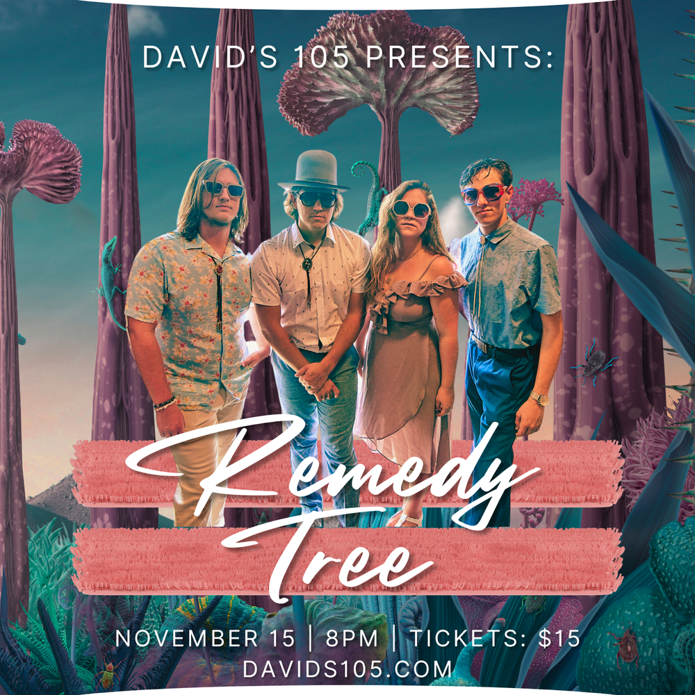 David's 105 Listening Room