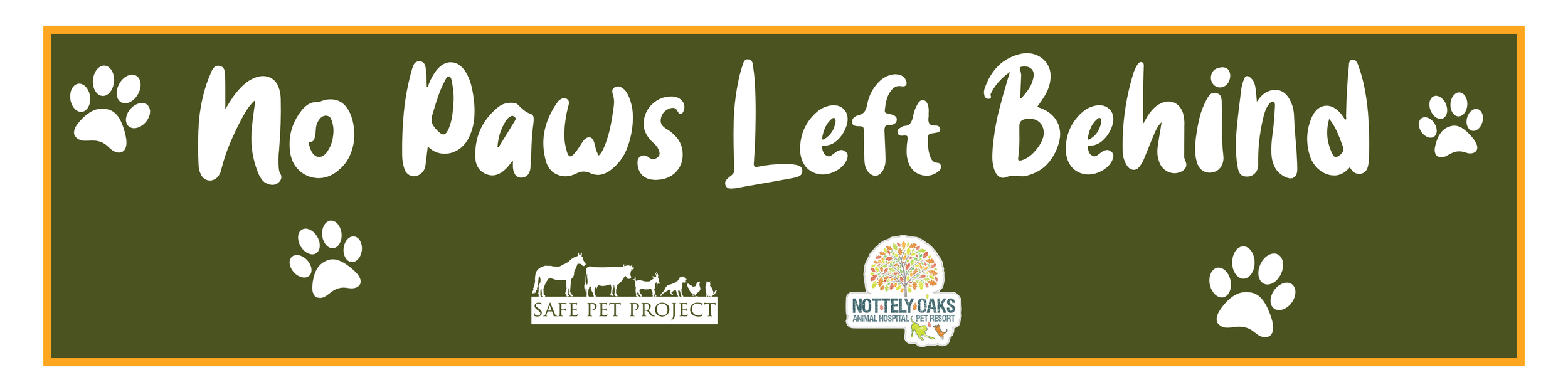 Our Projects — Safe Pet Project