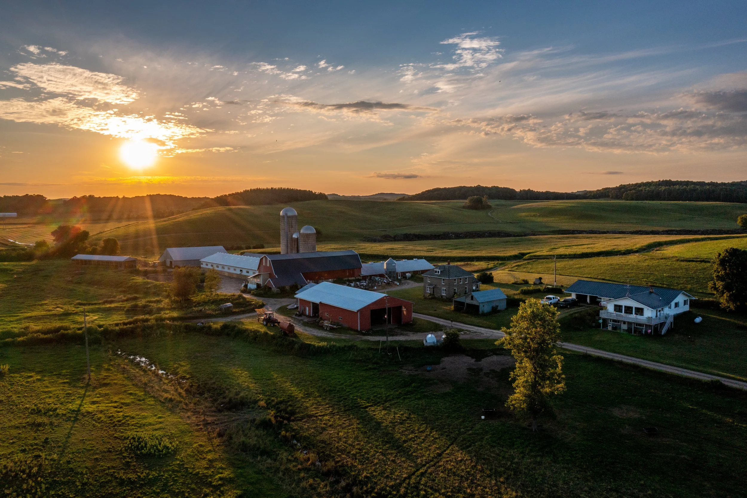 We Are AMPI — AMPI