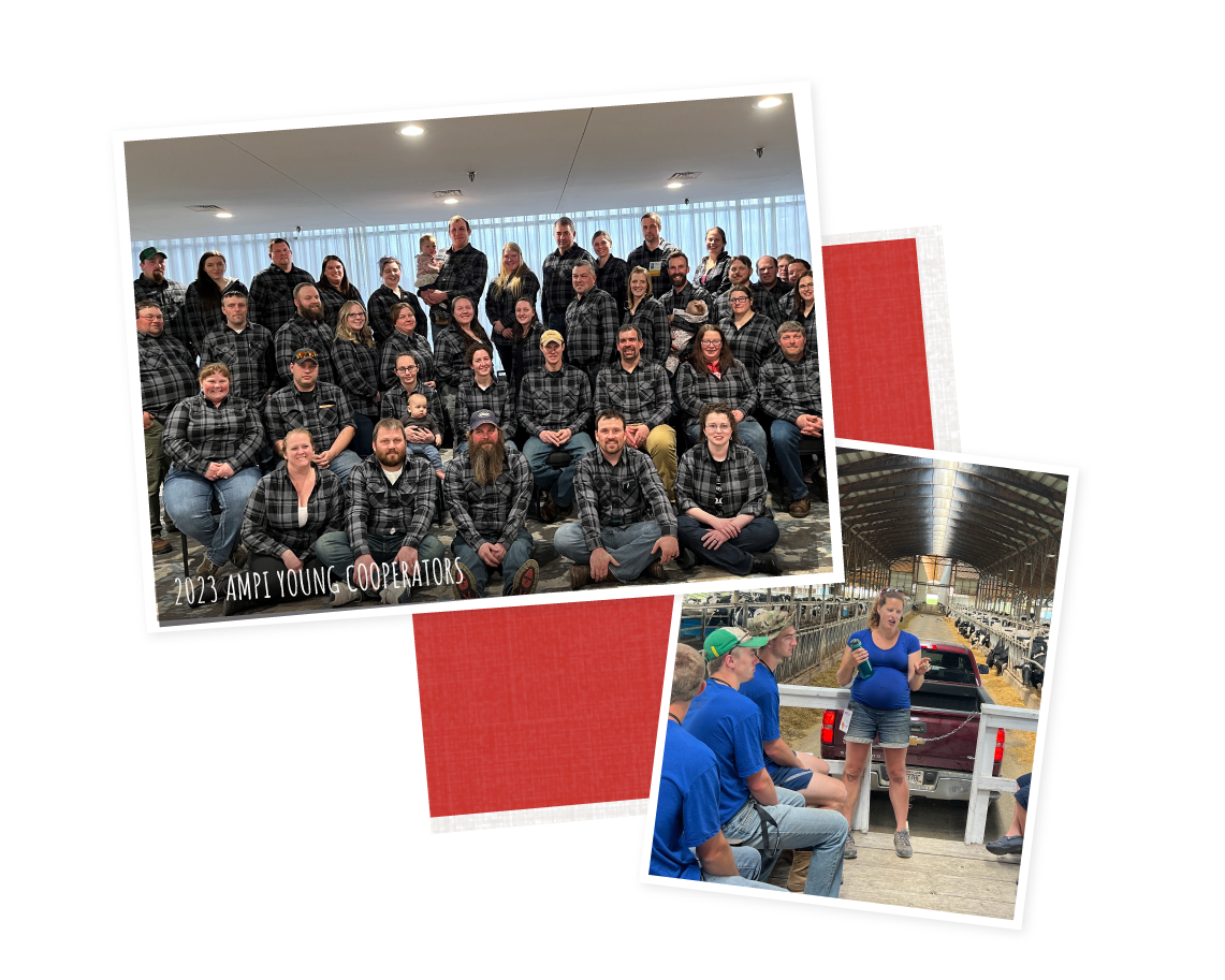 Our Approach — AMPI