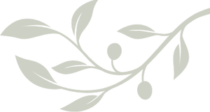 Kristin Kirkpatrick | Nutrition & Lifestyle