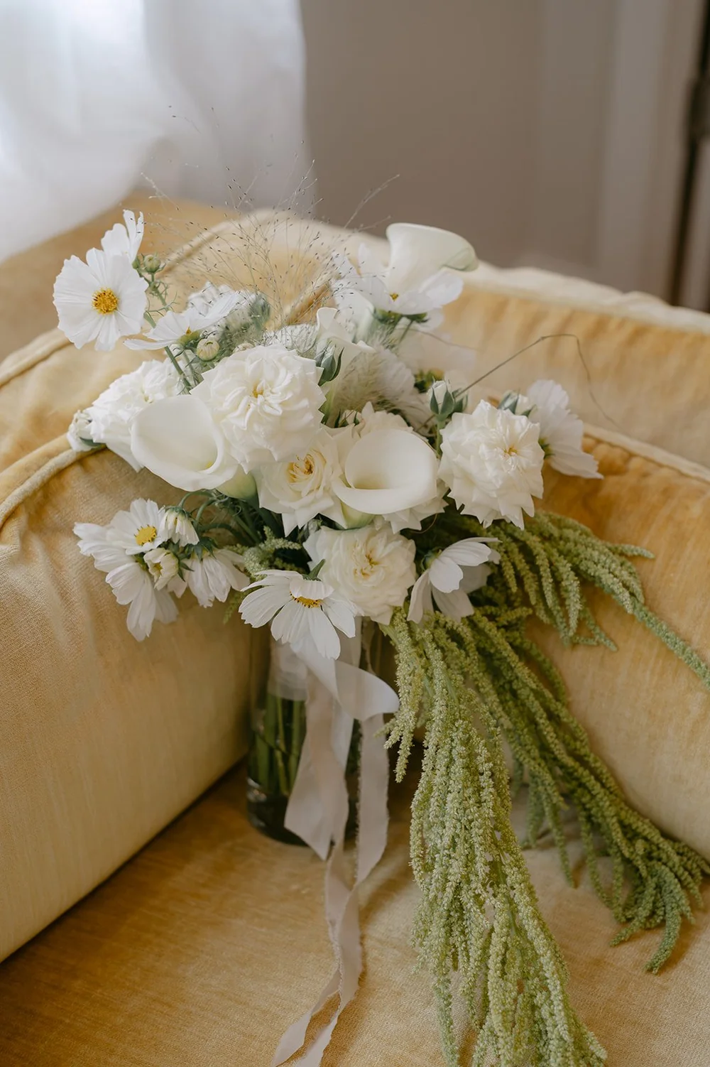 Photo Ops — Aspen & Alston