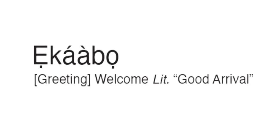 About — Lagos Space Programme