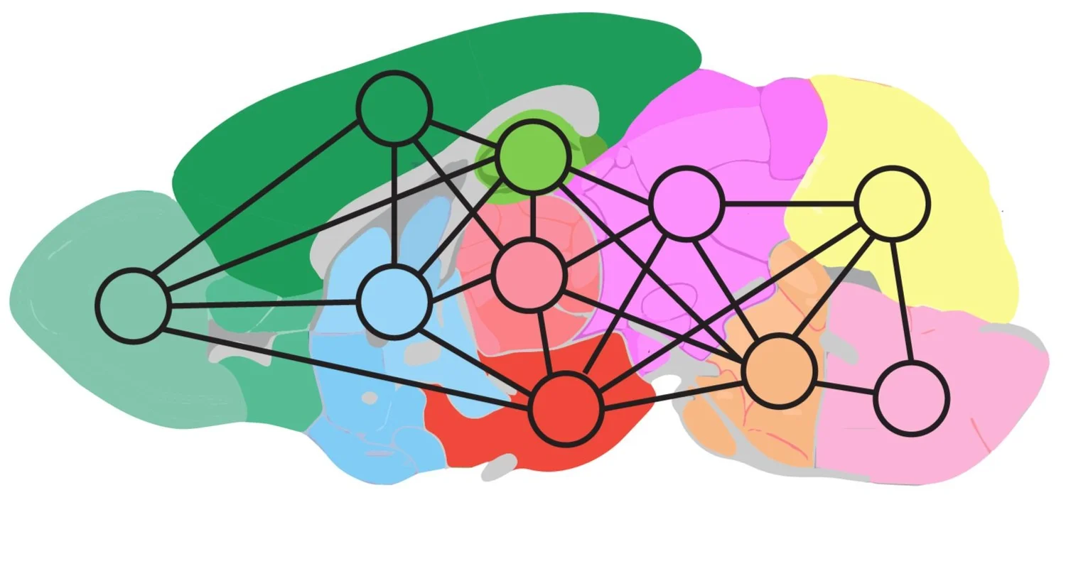 Research — The Gomez LAB