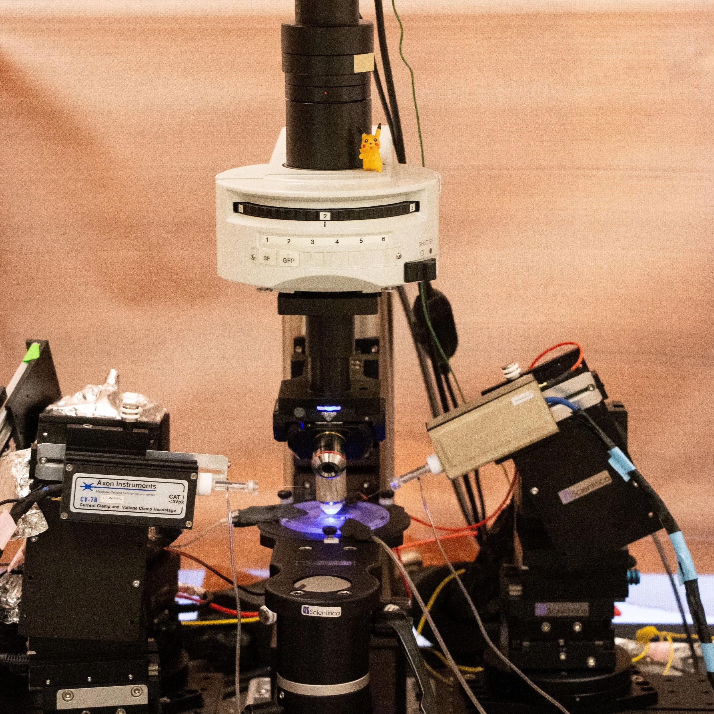 Research — The Gomez LAB