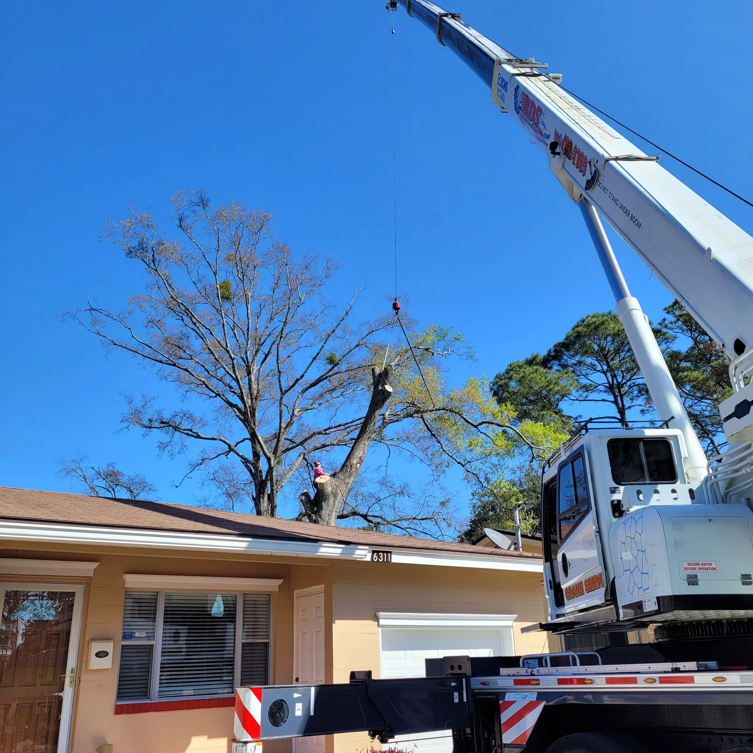 Affordable Tree Trimming & Removal Services In Jacksonville, FL. 24/7