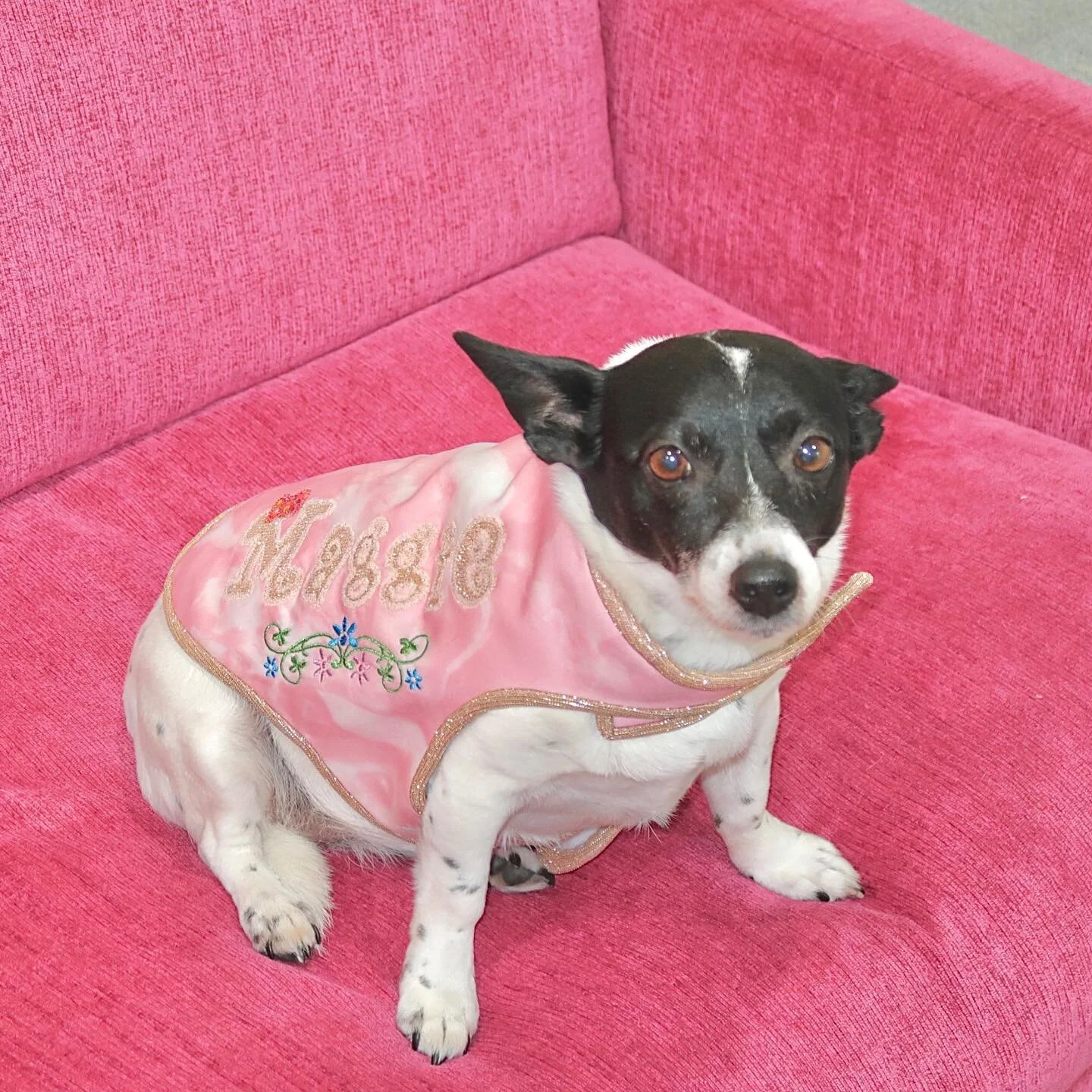 Andrew Gronow Dental Care