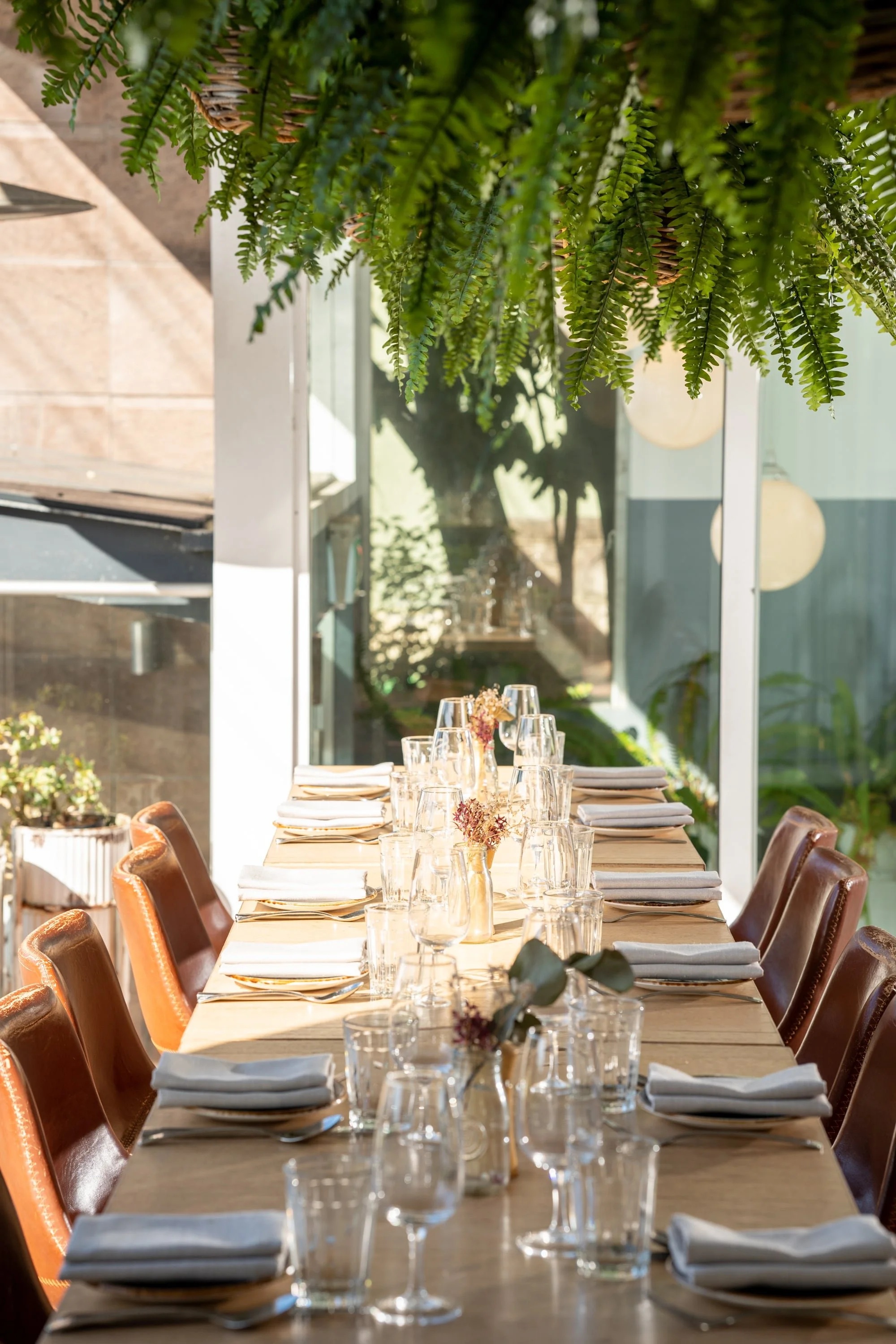 Menu — Osteria Coogee