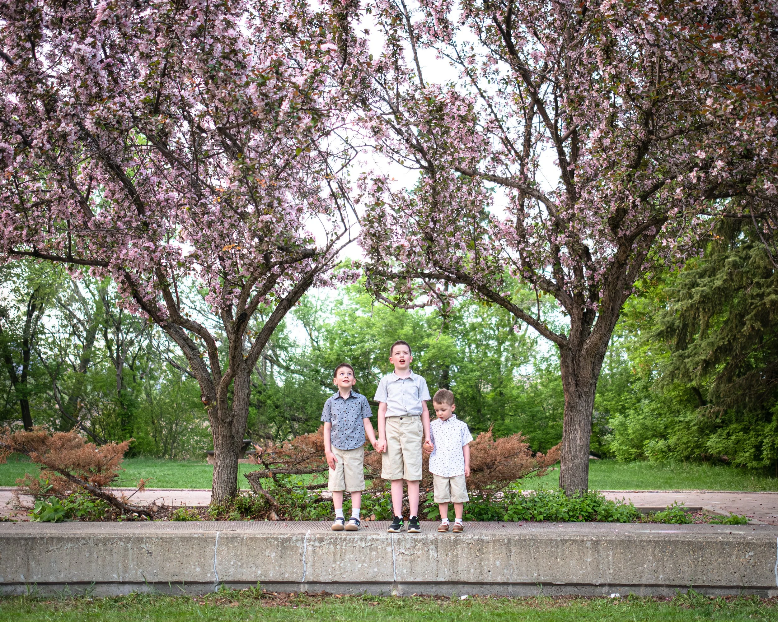 John Diep Family Photography