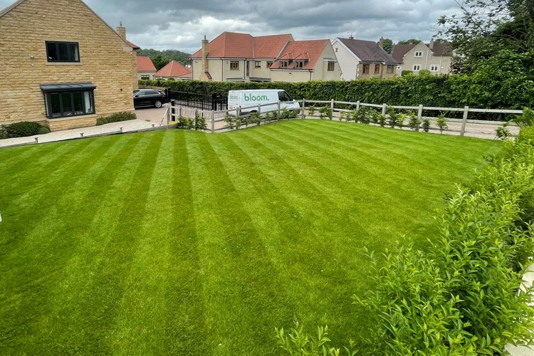 Contact Bloom Gardening Services for help with your North Leeds based ...