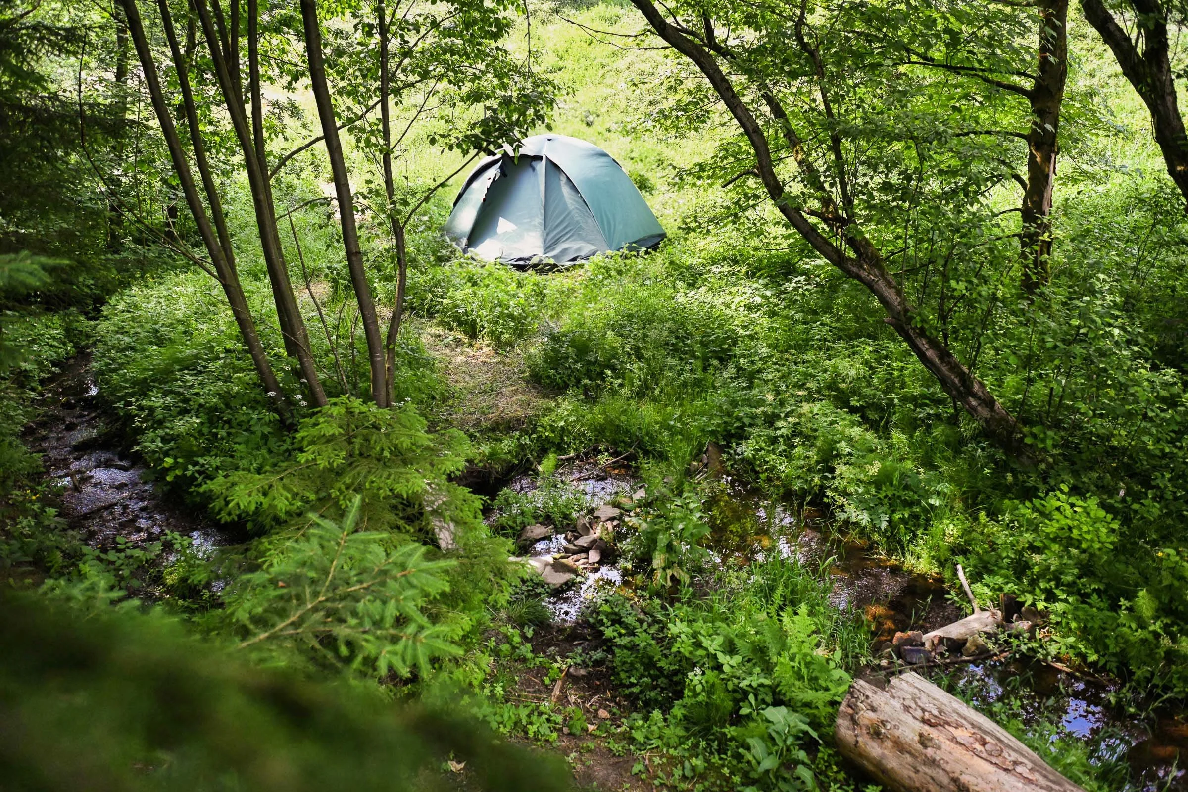 Green Camping Harz Hideaway