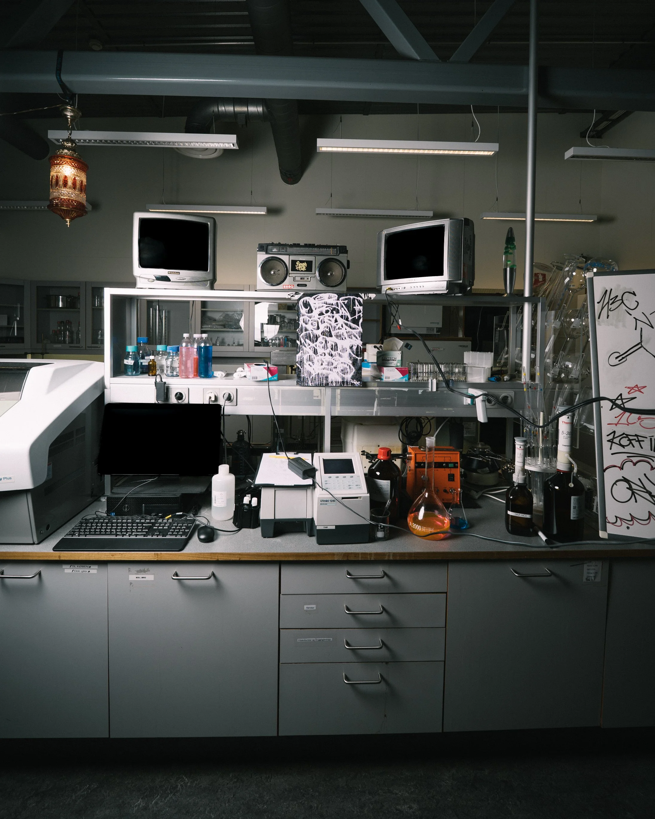 Reykjavík Roses — Your Site Title