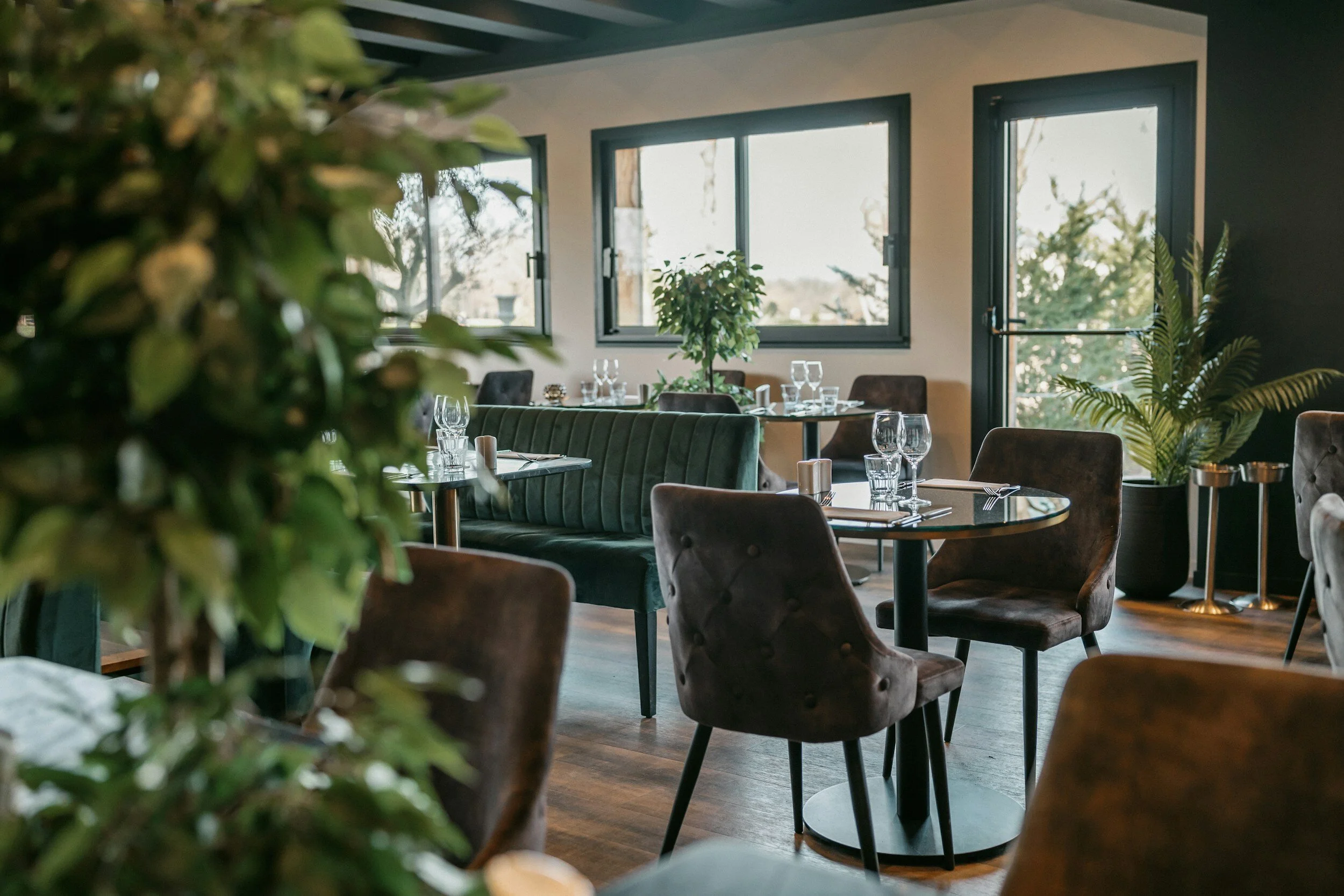 Home — EN — Down to Earth Dining
