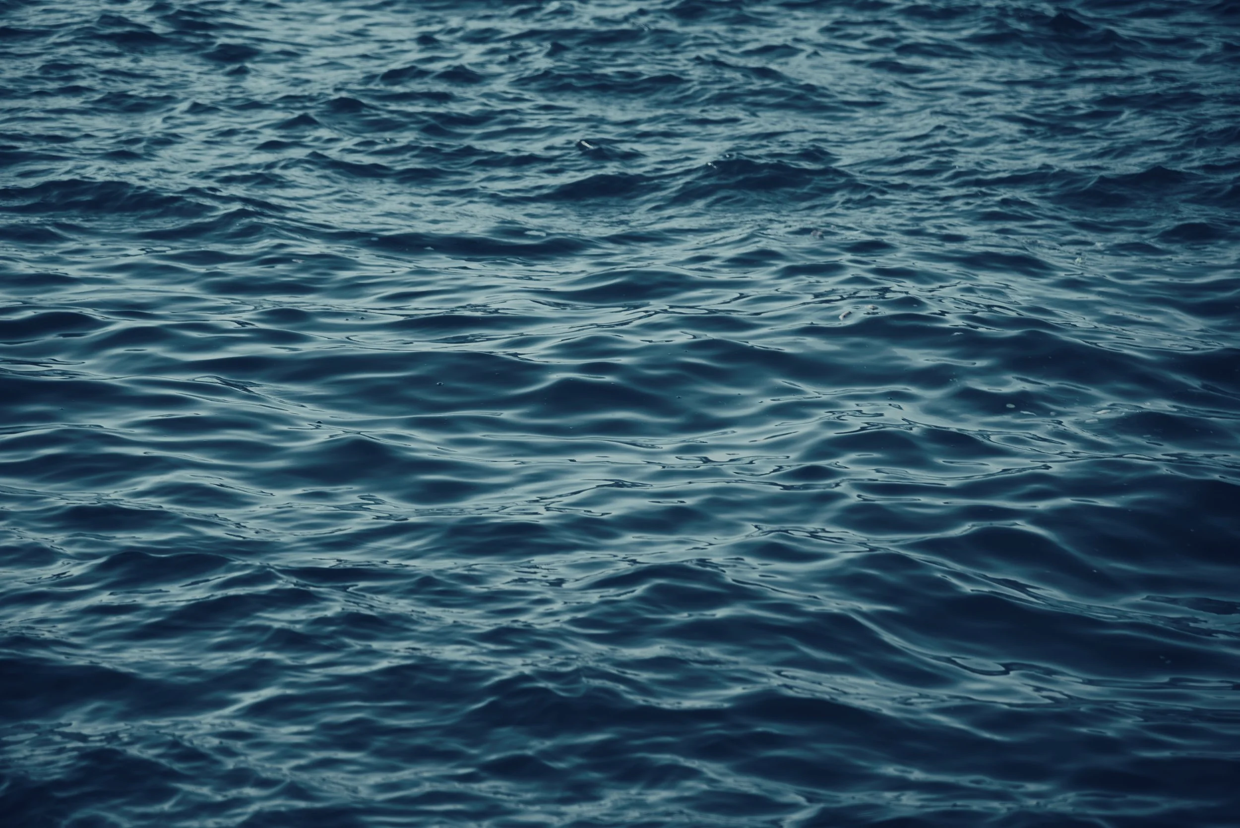 Singers and Dancers | Cruise Ship Performance Jobs — Warshaw Entertainment