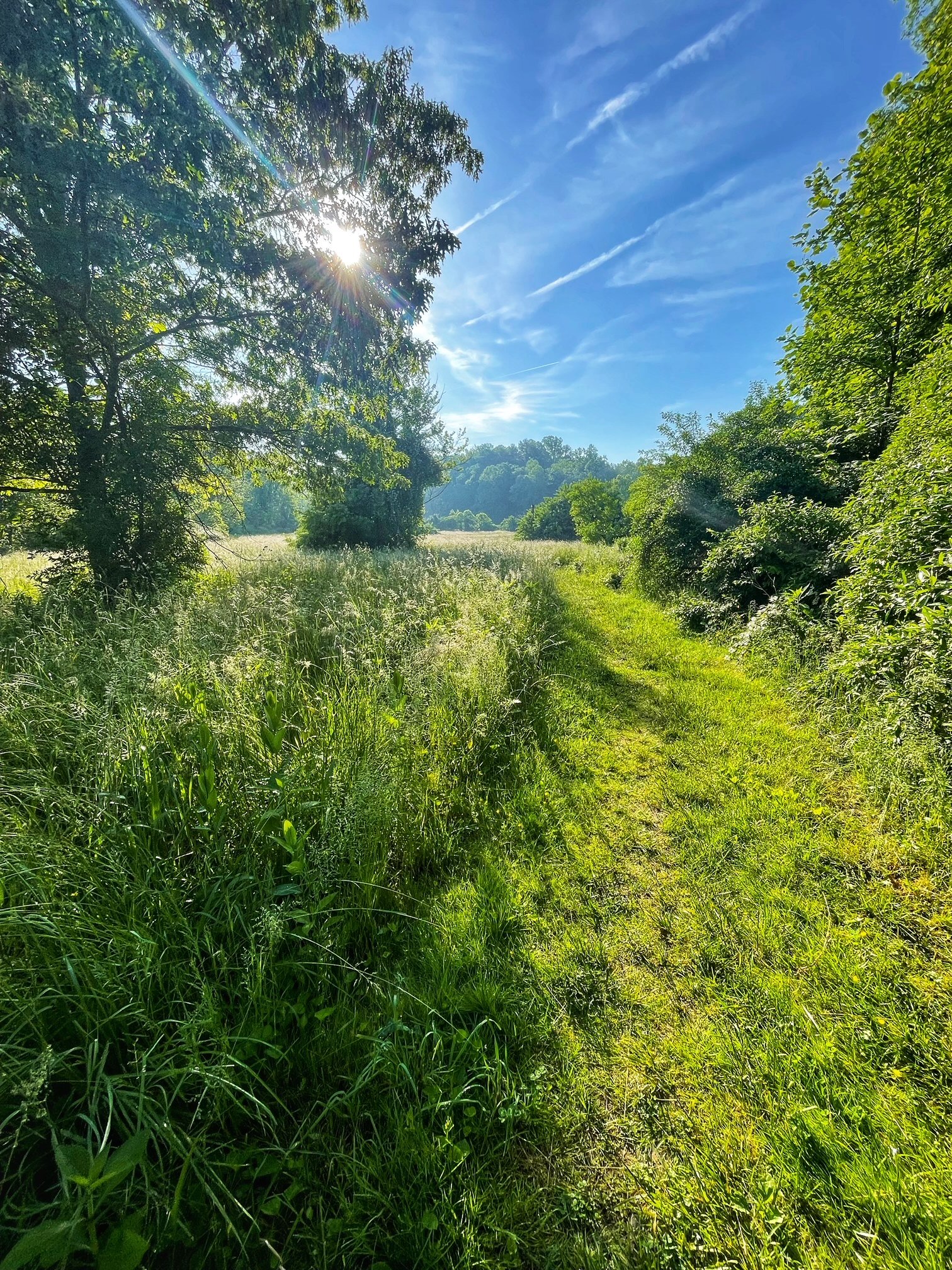 Charlottesville Area Trail Runners