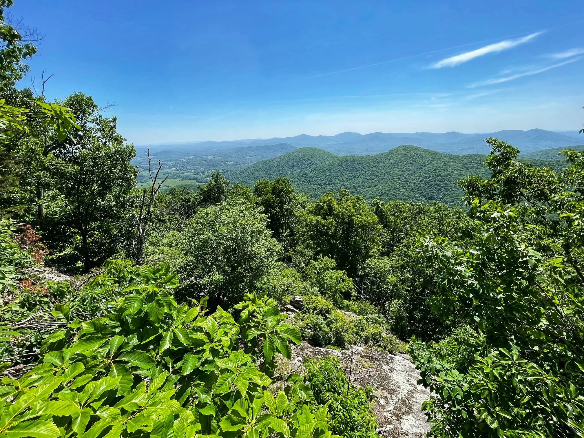 Charlottesville Area Trail Runners