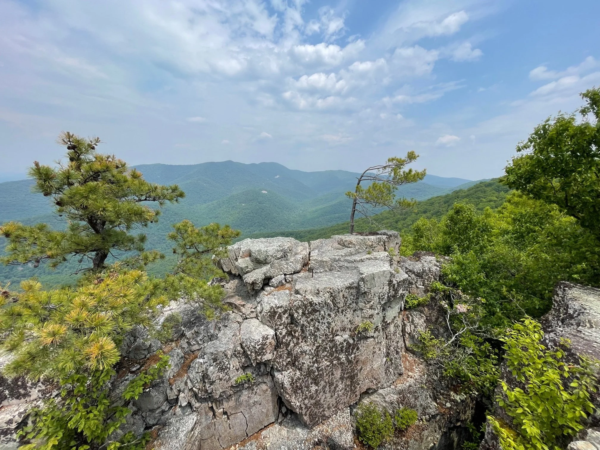 Charlottesville Area Trail Runners