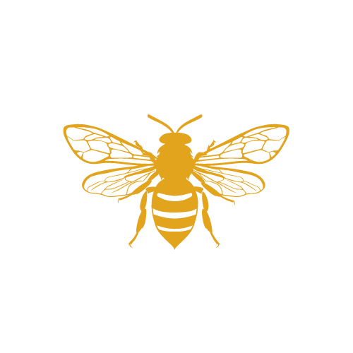 Gallery — Melrose Redmond