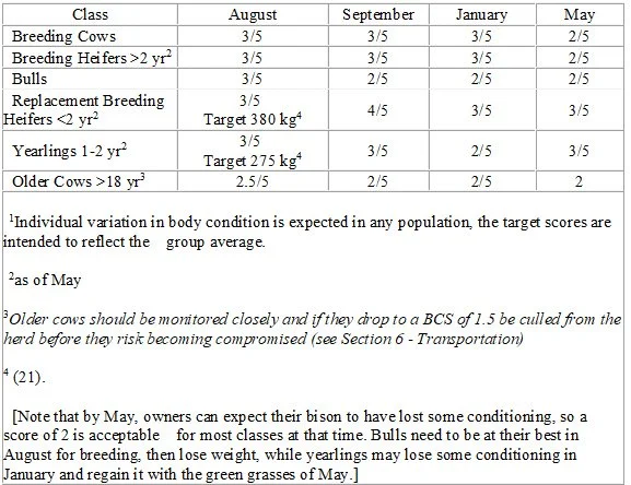 Body Condition Scoring Guide for Bison — BUFFALO GRANDE