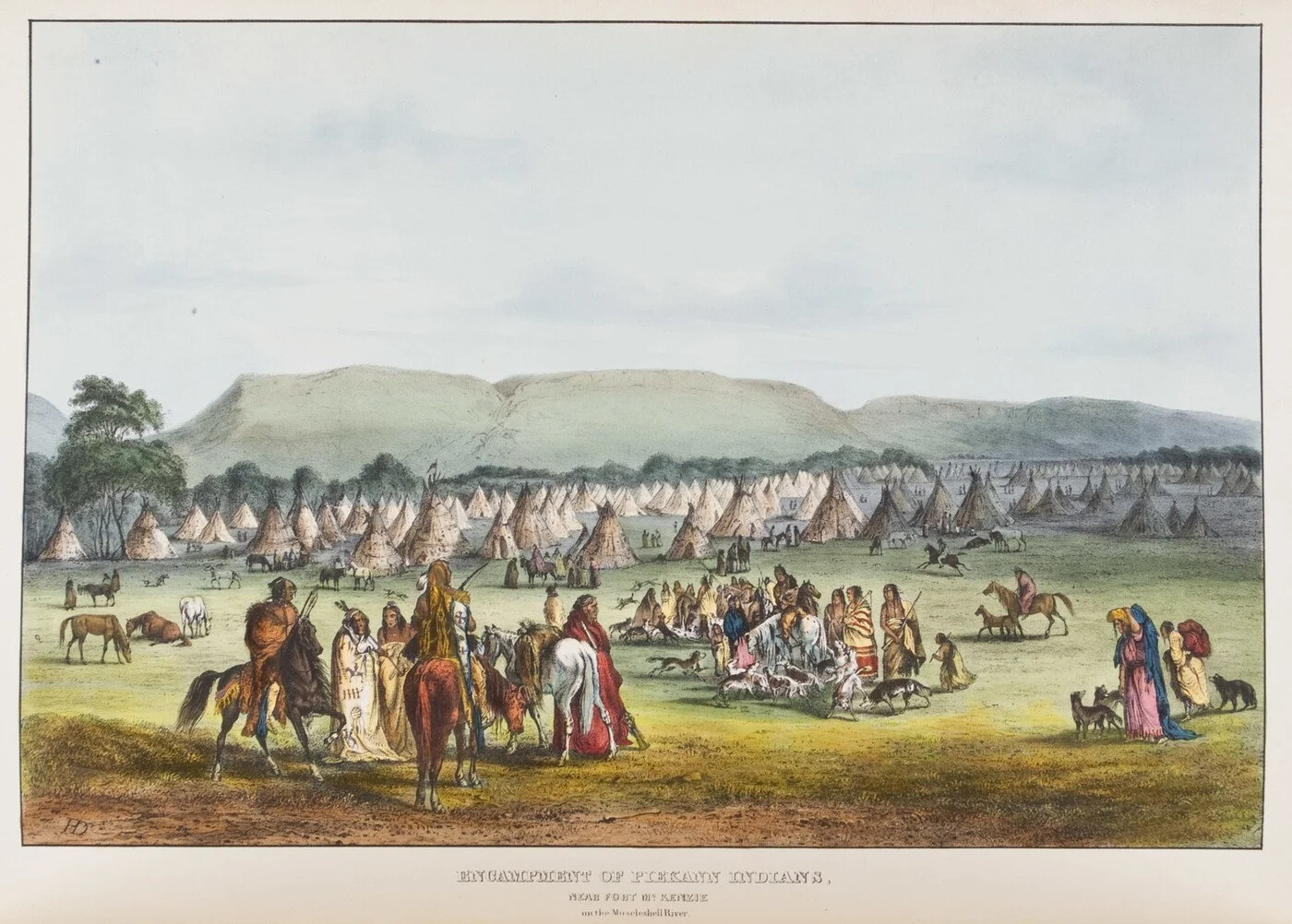The Buffalo and Native Peoples on the Upper Missouri — BUFFALO GRANDE