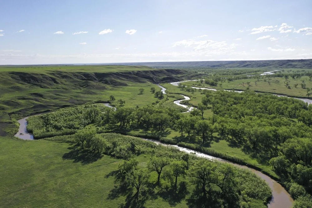 Cheyenne River Sioux Tribe — BUFFALO GRANDE