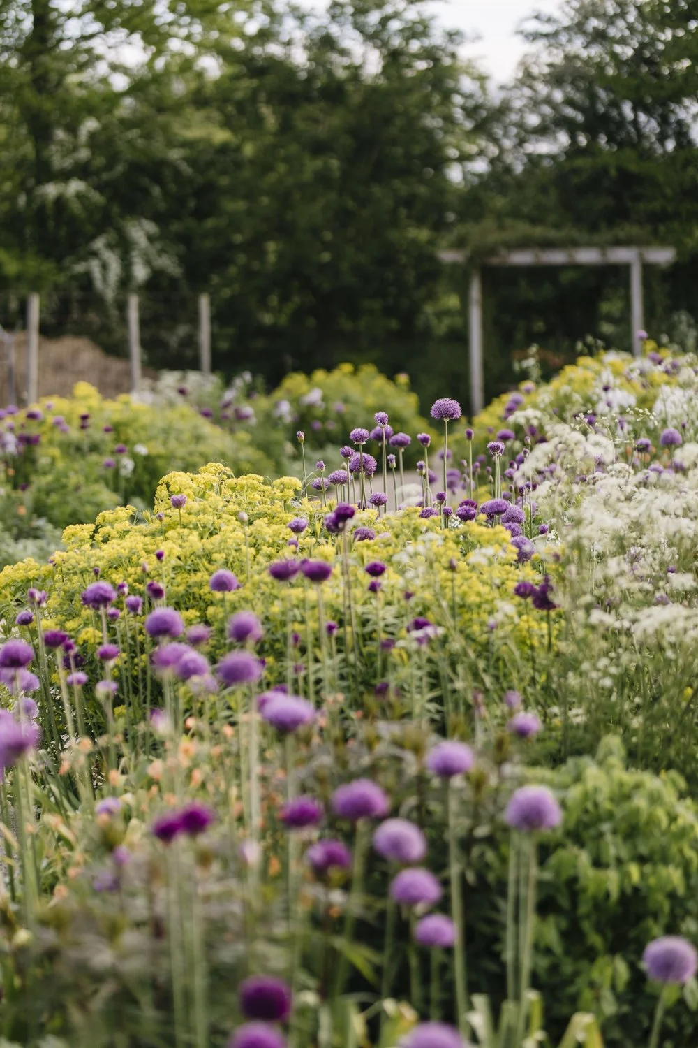 Moja farma kwiatowa. Rachel Siegfried — Garden Masterclass Polska