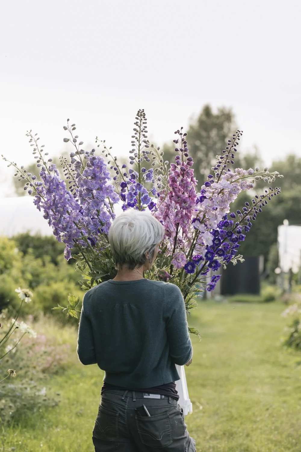 Moja farma kwiatowa. Rachel Siegfried — Garden Masterclass Polska