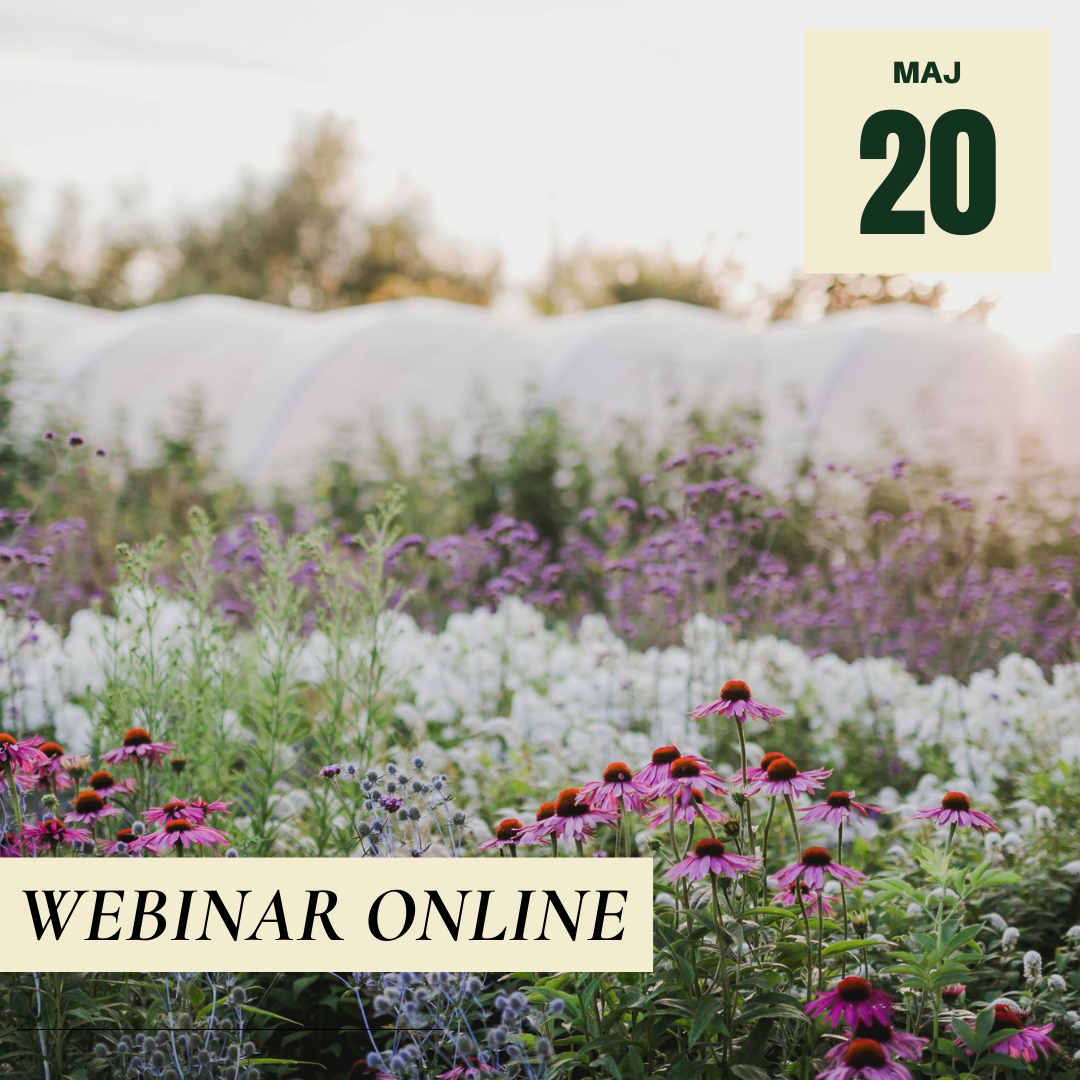 Garden Masterclass Polska