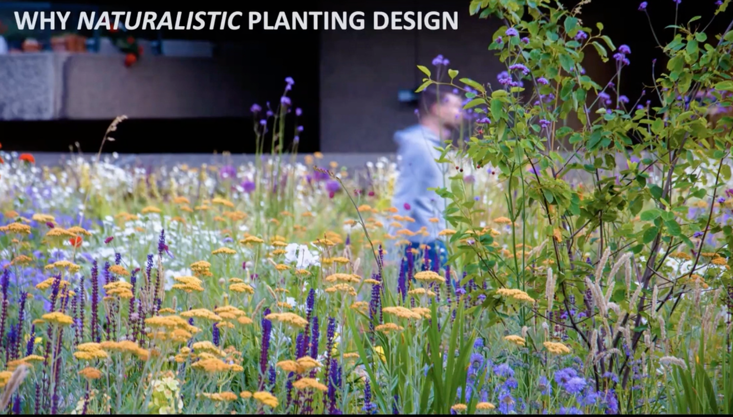 Garden Masterclass Polska | Join Professional Gardening Courses
