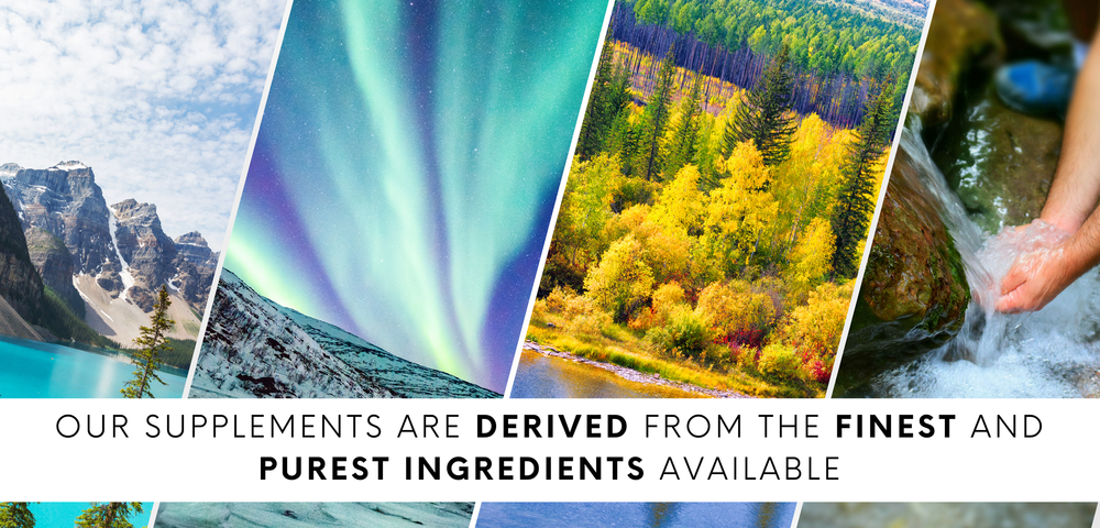 Pure North Naturals - Your Gateway to a Healthier and More Vibrant Life!